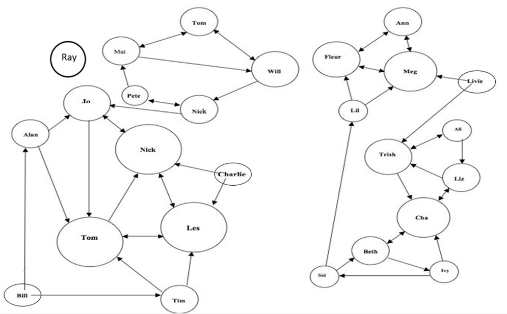 Peer Support and Relationships
